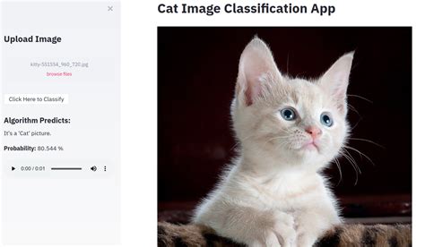 Github Jalalmansoori19cat Classifier In This Step By Step Tutorial