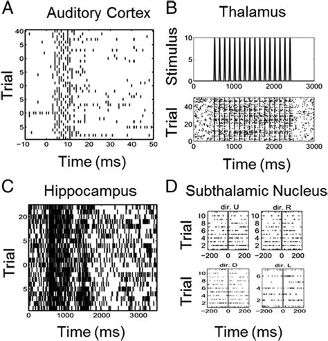Raster Plots Of Neural Spiking Activity A Forty Trials Of Spiking Download Scientific