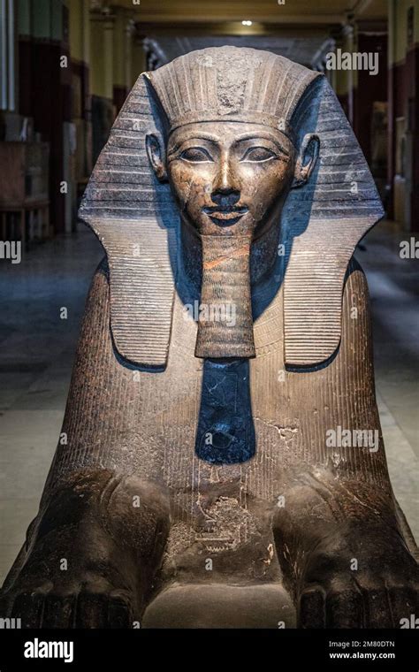 Sphinx Of Queen Hatshepsut Of The 18th Dynasty Egyptian Museum Of
