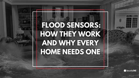 How Flood Sensors Can Save Your Home Security ONE