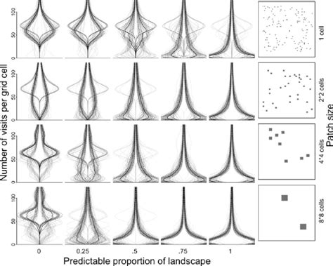 Landscape Use In Relation To Predictability And Spatial Configuration