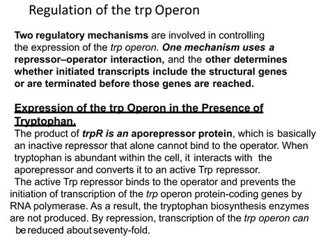 Tryptophan Operon Gp 102 Pptx Chemistry Science