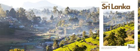 Build 3d Printer By Liesforloversx Polygoo Ireallylovepixels