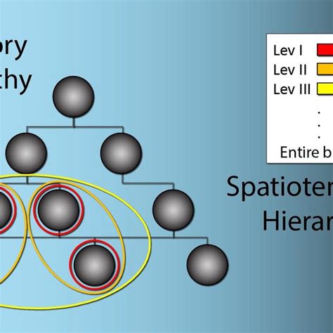 The Importance Of The Hierarchical Spatiotemporal Structure Of Neural
