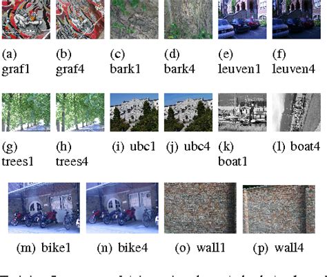 Figure 4 From Feature Description Based On Mean Local Mapped Pattern Semantic Scholar