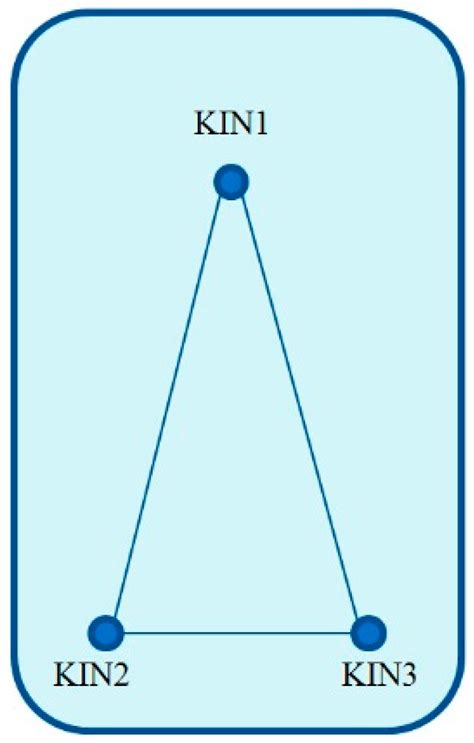 Gnss Precise Kinematic Positioning For Multiple Kinematic Stations Based On A Priori Distance