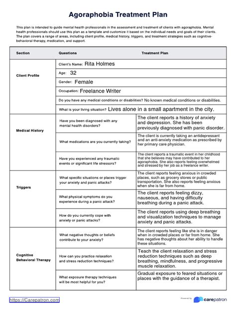 Agoraphobia Treatment Plan Example Pdf Agoraphobia Panic Attack