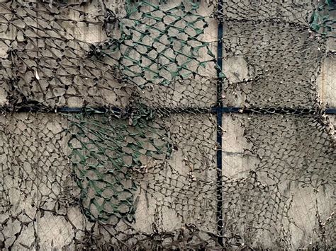 Конфуцијев институт Универзитета у Бањој Луци Konfucijev Institut • Instagram Photos And Videos