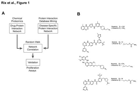 Schematic Outline Of The Integrated Chemical Proteomics And Download Scientific Diagram