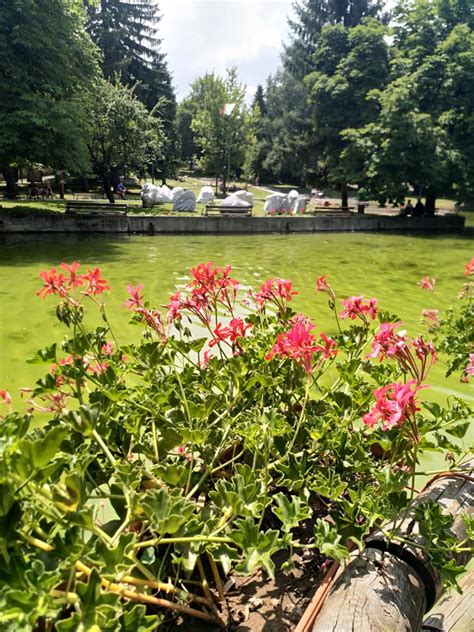 Екскурзия до Добърско Огняново Лещен Ковачевица Хаджидимово