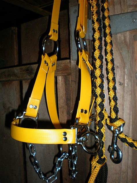 Small Hackamore Cattle Clobber