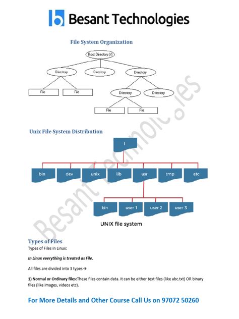 File System Organization 2 Pdf Computer File Directory Computing