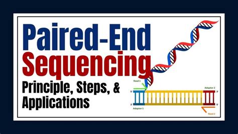 Paired End Sequencing Explained Principle Steps Applications