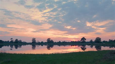 Grass Trees Netherlands Free Stock Video Pixabay