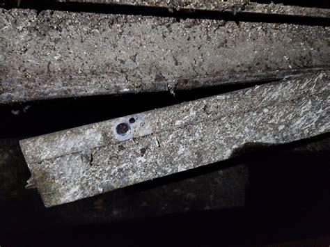 Rolling Fire Shutter In High Rise Trash Chute Failed Rmaintenance