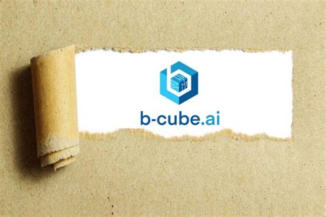 behind the idea b cube ai the fintech times
