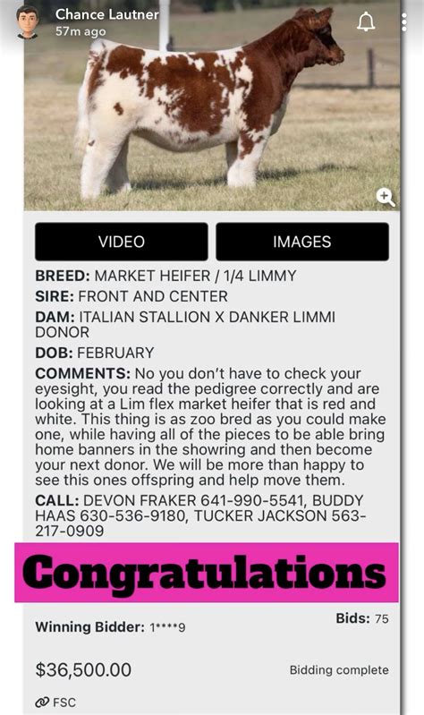 Front And Center Sired Market Heifer Of Devon Frakers And Raised By