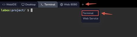 Labex Vm Terminal Interface Labex Support