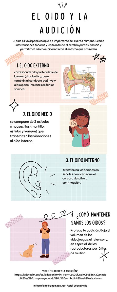 El Oido Y La Audicion Infografía De Edición De Audio E L O I D O Y L A A U D I C I Ó N