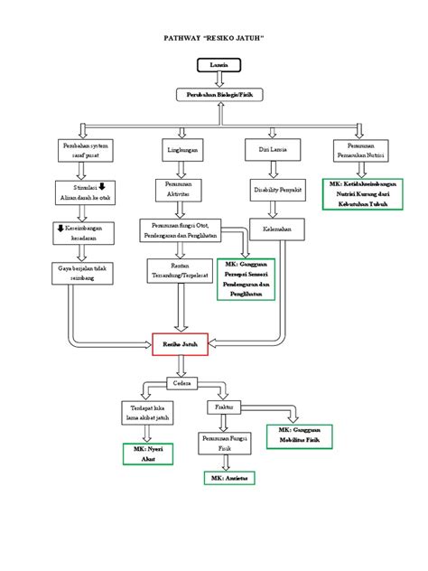 Pathway Resiko Jatuh Pdf