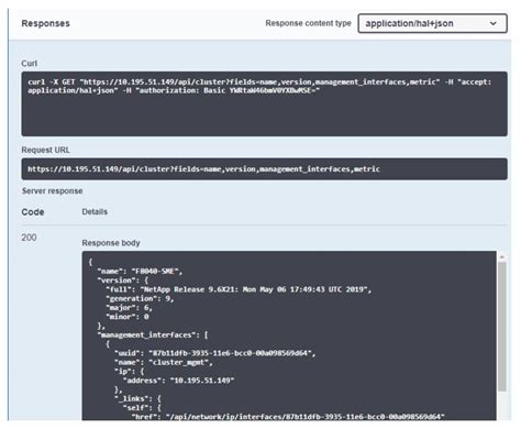Restful Apis Now Natively Available With Netapp Ontap 9 6 Software Netapp Blog
