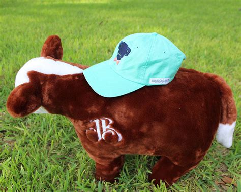 Mint Green Cap Hereford Prep