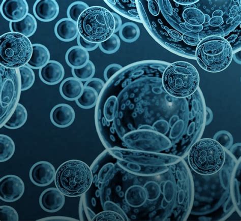 Bioanalytical Method Development And Validation Aliri Bioanalysis