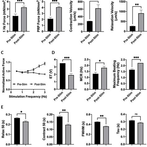 Engineered Cardiac Tissues Fabricated And Cultured Within The Download Scientific Diagram