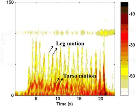 the spectrogram of the radar signal the unique signatures of the torso download scientific