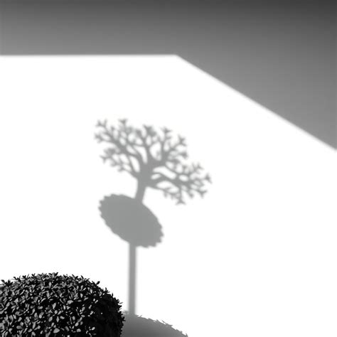 photo of topiary shadow casting geometric sculpted shapes defined