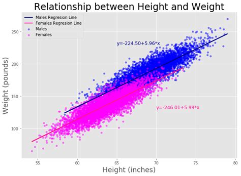 Excel Linear Regression Equation Scatter Plot Milkpooter
