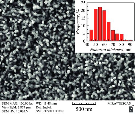 Sem Image Of A Nanostructured Zinc Oxide Layer Based On Nanorods
