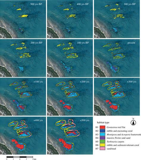 Spatial Distribution Of Reef Habitats Throughout Stages Of Reef Download Scientific Diagram