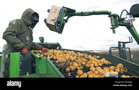 Removing Garbage Stock Videos And Footage Hd And 4k Video Clips Alamy