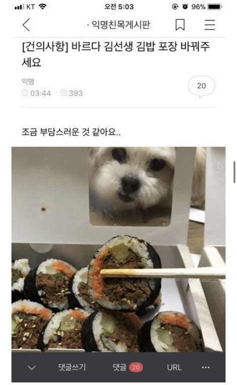 어떻게든 한 입 먹고 싶은 댕댕이 유머움짤이슈 에펨코리아