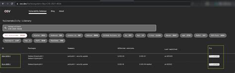 谷歌开源漏洞扫描器 Osv Scanner 🔰雨苁ℒ🔰