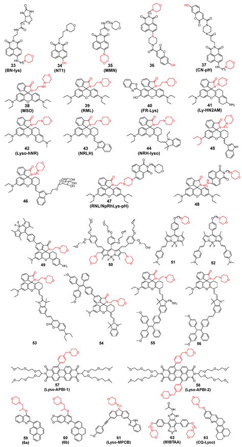 Application And Suggestions Of Morpholine Ring As A Lysosome Targeting