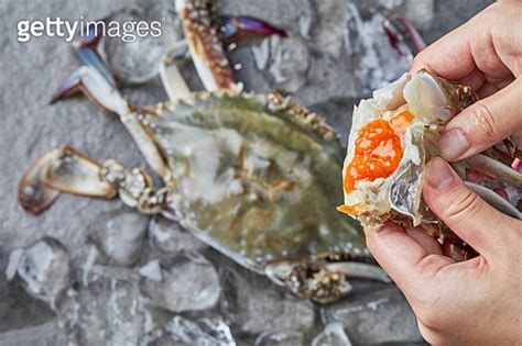 꽃게 제철음식 해산물 갑각류 신선식품 프레시 컨셉 음식재료 게 연갑류 게요리 해산물 게장 한식 잘익음 음식상태 이미지