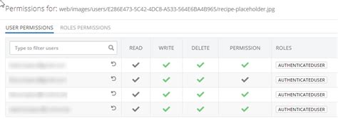 Cant Get File Access Permission For Authenticateduser Working File Service Backendless Support