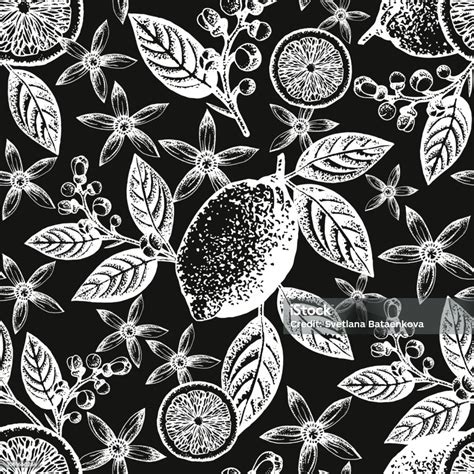 감귤 류의 원활한 패턴입니다 레몬 과일 조각 드로잉 핸드 나뭇잎 꽃과 싹 분기 흑인과 백인 자연 배경입니다 빈티지 꽃 패턴입니다