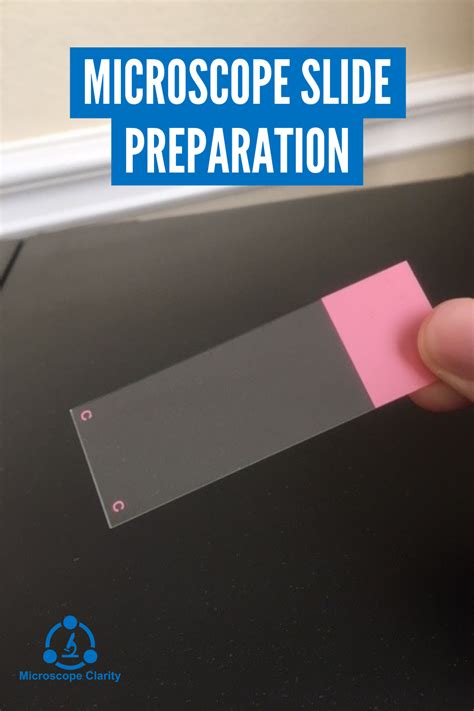 Microscope Slide Preparation Microscope Slides Microscope Microscopic