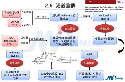 公开课回顾 代谢组学临床转化突破之路 从临床研究到临床转化 肿瘤细胞 氨基酸代谢 非靶向代谢 脂质 多组学代谢流检测分析 脂肪酸定量