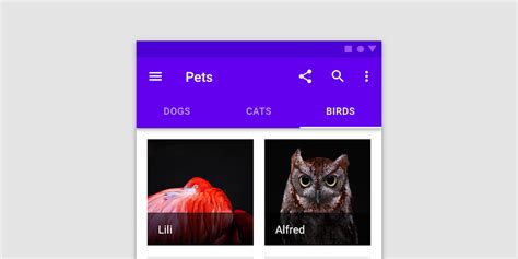 Tabrow Jetpack Compose Component In Material Compose Material Compose Documentation