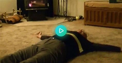Hilariouswatch What Happens When Dog Owner Tries To Work Out 