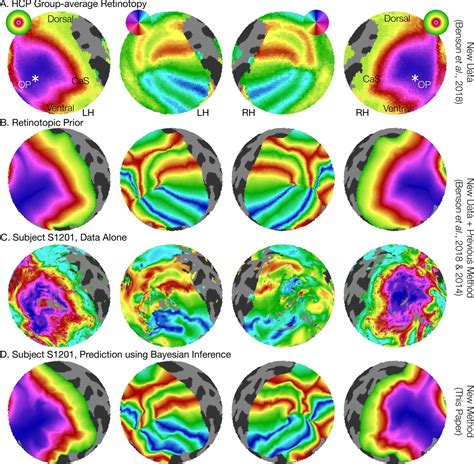 Figures And Data In Bayesian Analysis Of Retinotopic Maps Elife