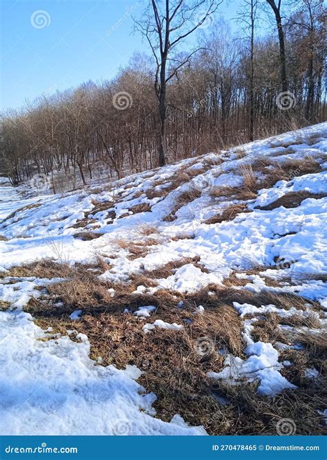 Edge Of The Field Stock Image Image Of Wilderness Frost 270478465