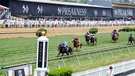 Racing Form For Preakness 2023 Printable Forms Free Online