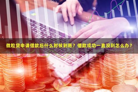 微粒贷申请借款后什么时候到账借款成功一直没到怎么办 人人理财