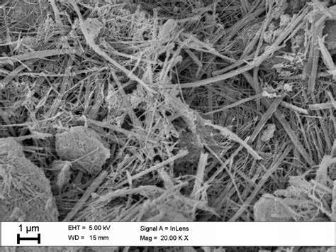 Sem Image Of Tio2 Nanoparticles Calcined At A Temperature Of 350 °c Download Scientific Diagram