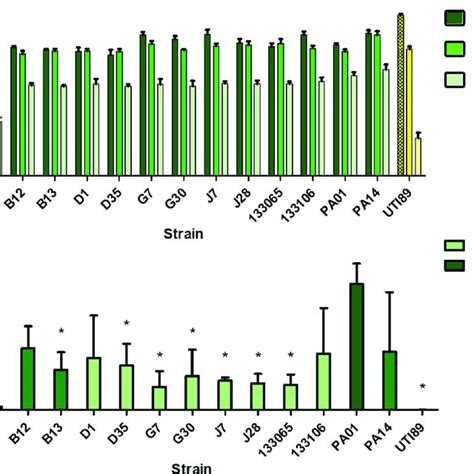 Quantification Of Intracellular Bacteria Recovered At 6 24 And 48 H Download Scientific